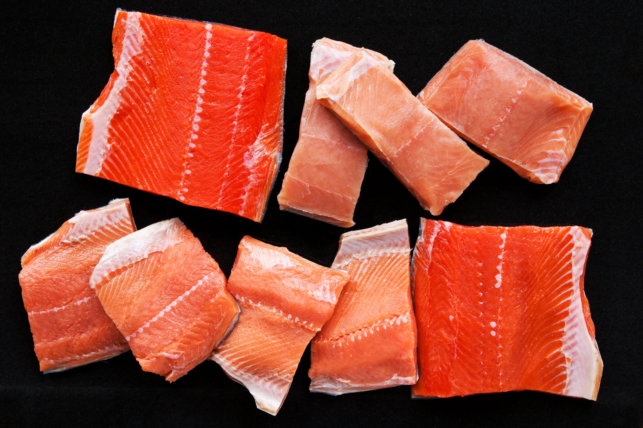 Loki Fish Co: Buy Wild Alaskan Salmon Direct from the Fisherman!