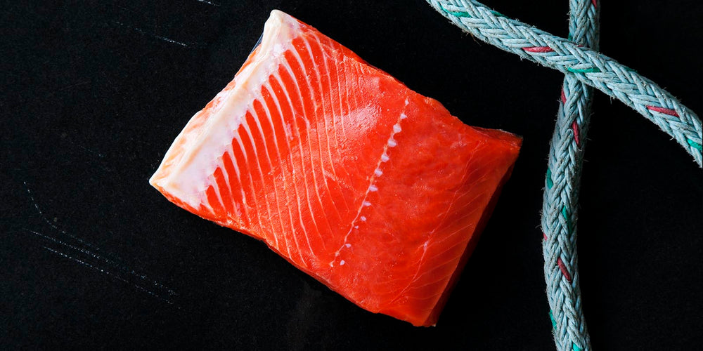 Loki Fish Co: Buy Wild Alaskan Salmon Direct from the Fisherman!